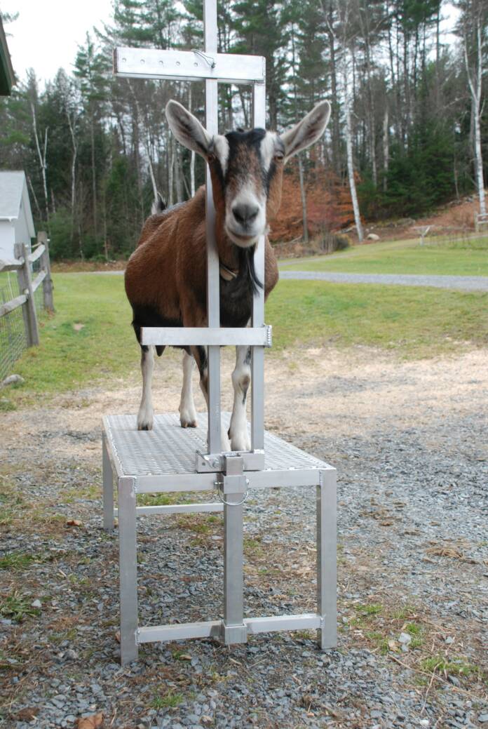 goatstands